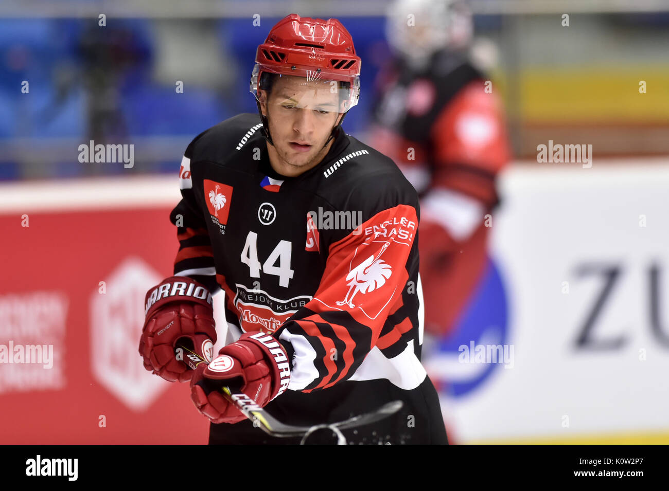 Mislav Rosandic of Hradec in action during the Ice hockey Champions ...