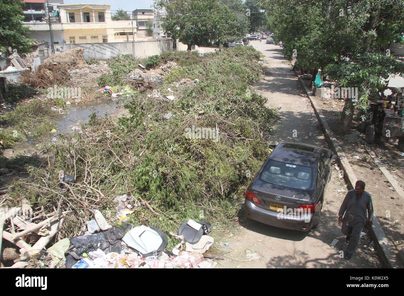 Pakistan. Trees fallen down during heavy rain and wind still seen on ...