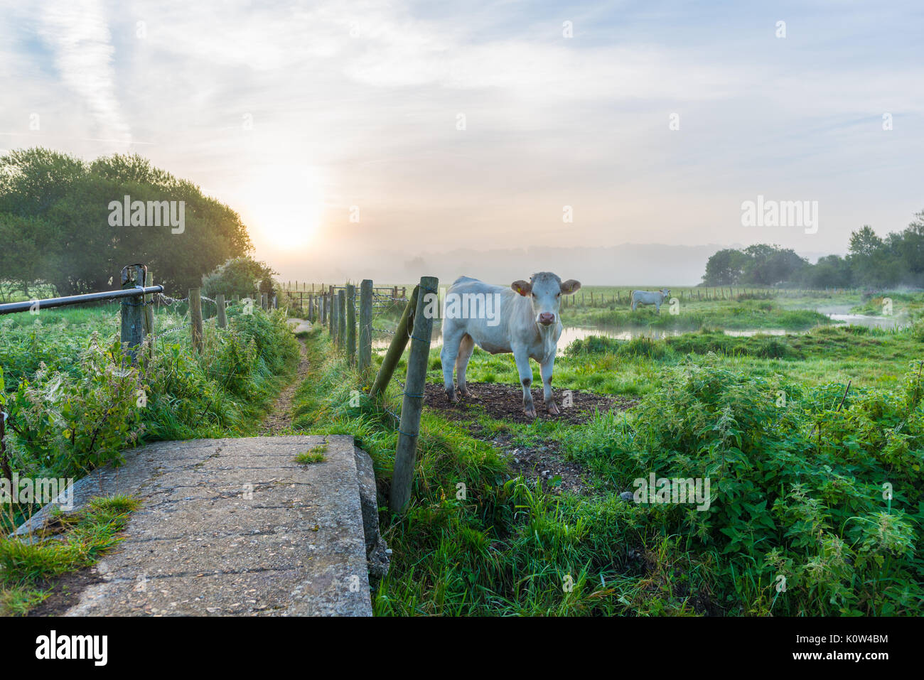 August morning hi-res stock photography and images - Alamy