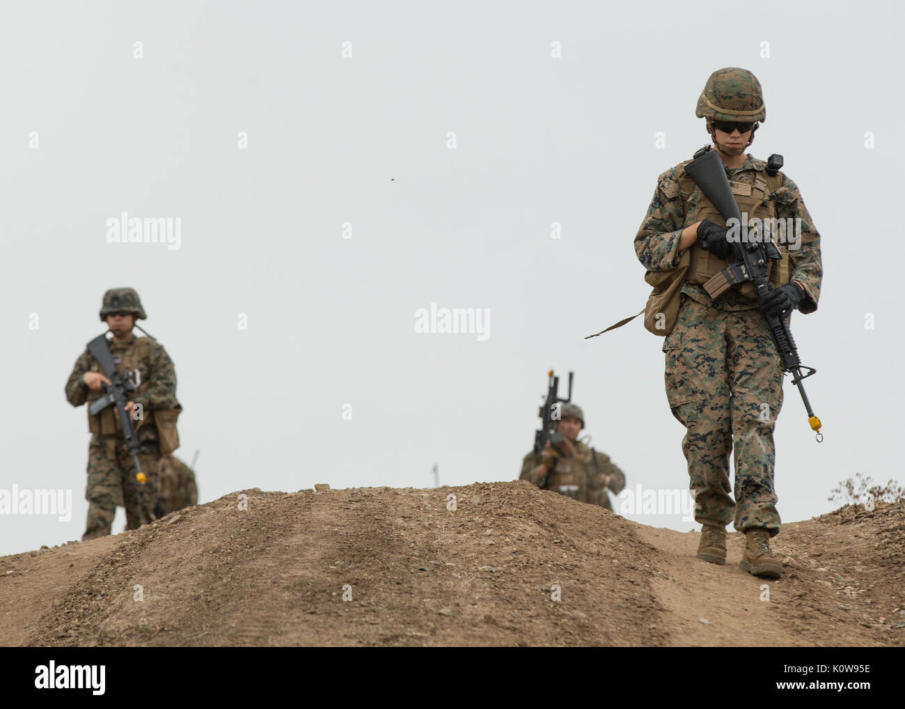 Marines with 1st Air Naval Gunfire Liaison Company (ANGLICO ...