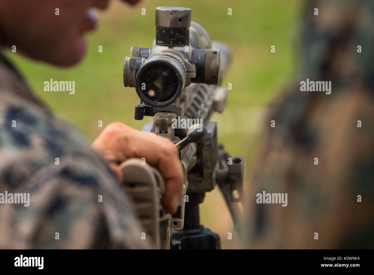 Scout sniper candidates with Weapons Company, 2nd Battalion, 3rd Marine ...