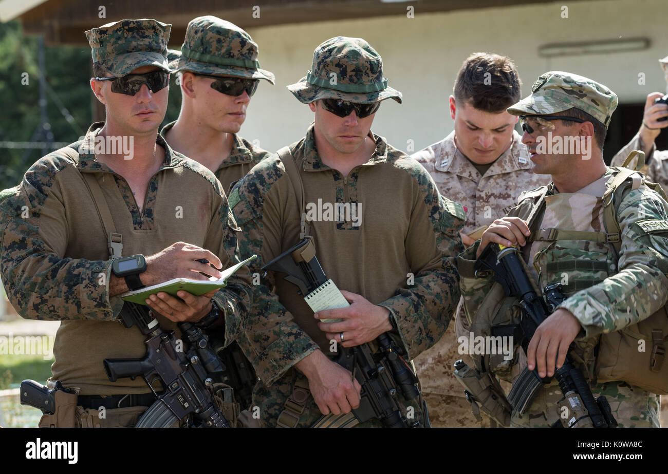 HOHENFELS, Germany - U.S. Marines with 6th Air Naval Gunfire Liaison ...