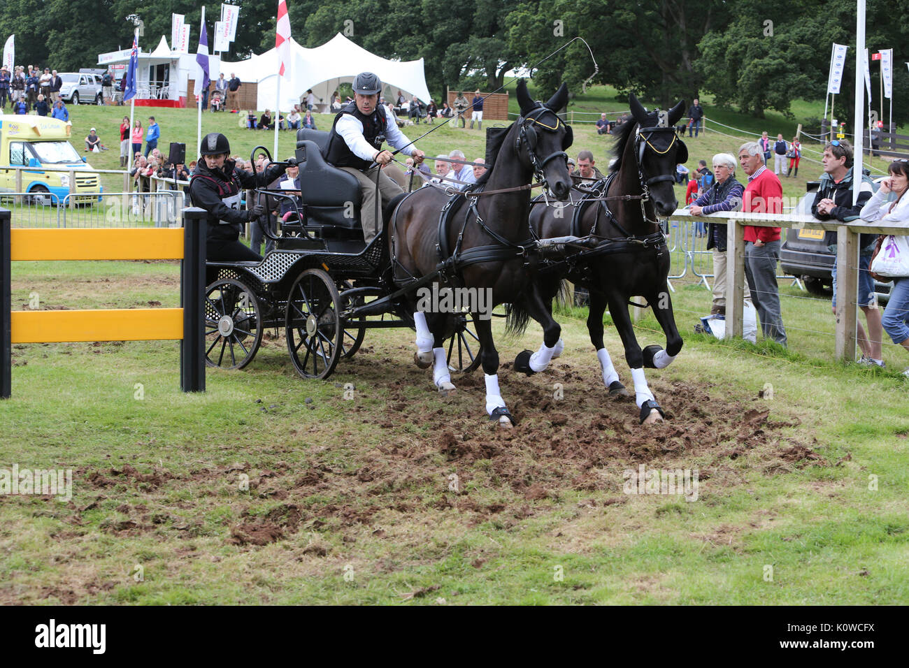 Horse carriage driving hi-res stock photography and images - Alamy