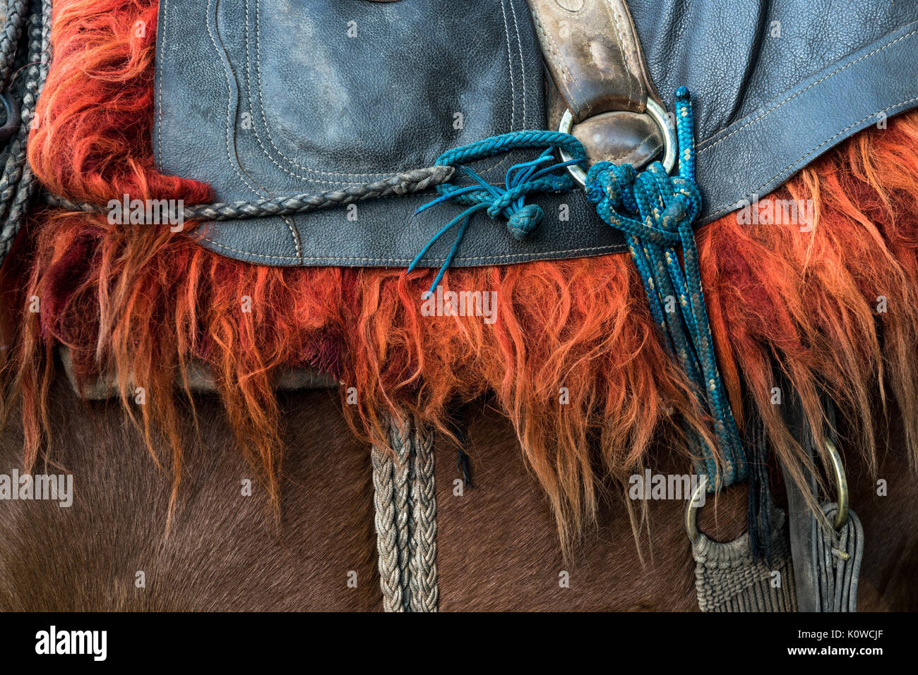 Traditional horse saddle used in the Pantanal of Brazil Stock Photo - Alamy