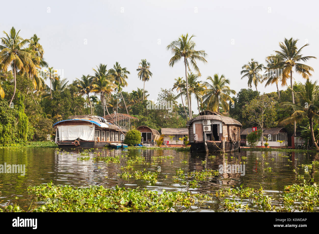 Backwaters in Kerala, India Stock Photo - Alamy