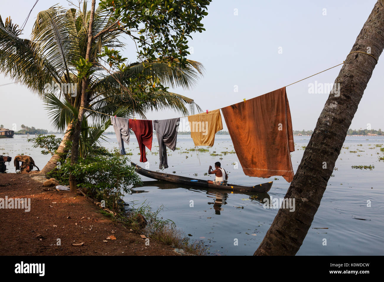 Backwaters in Kerala, India Stock Photo - Alamy