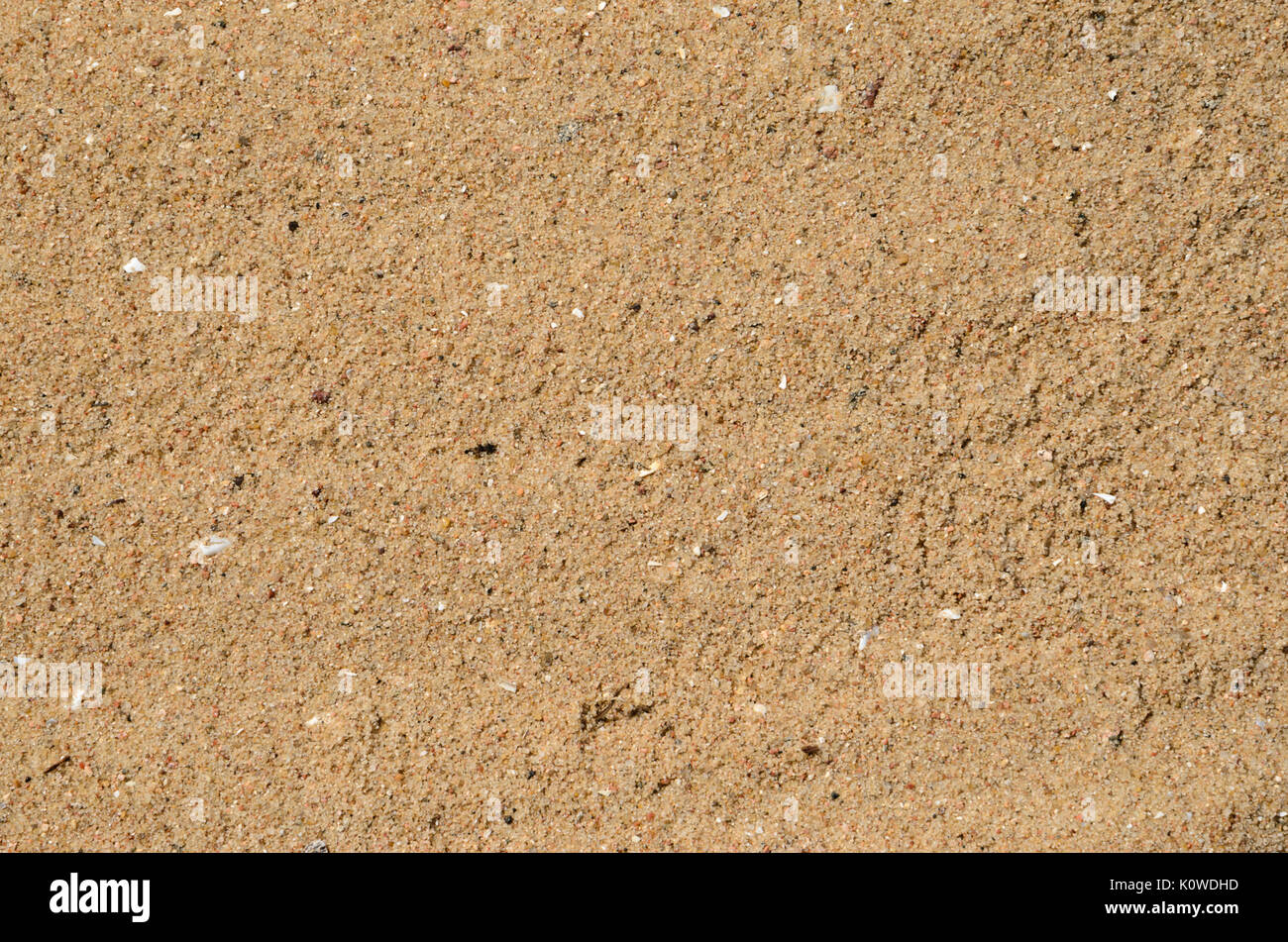 Sandy Beach Background. Detailed sand texture Stock Photo - Alamy