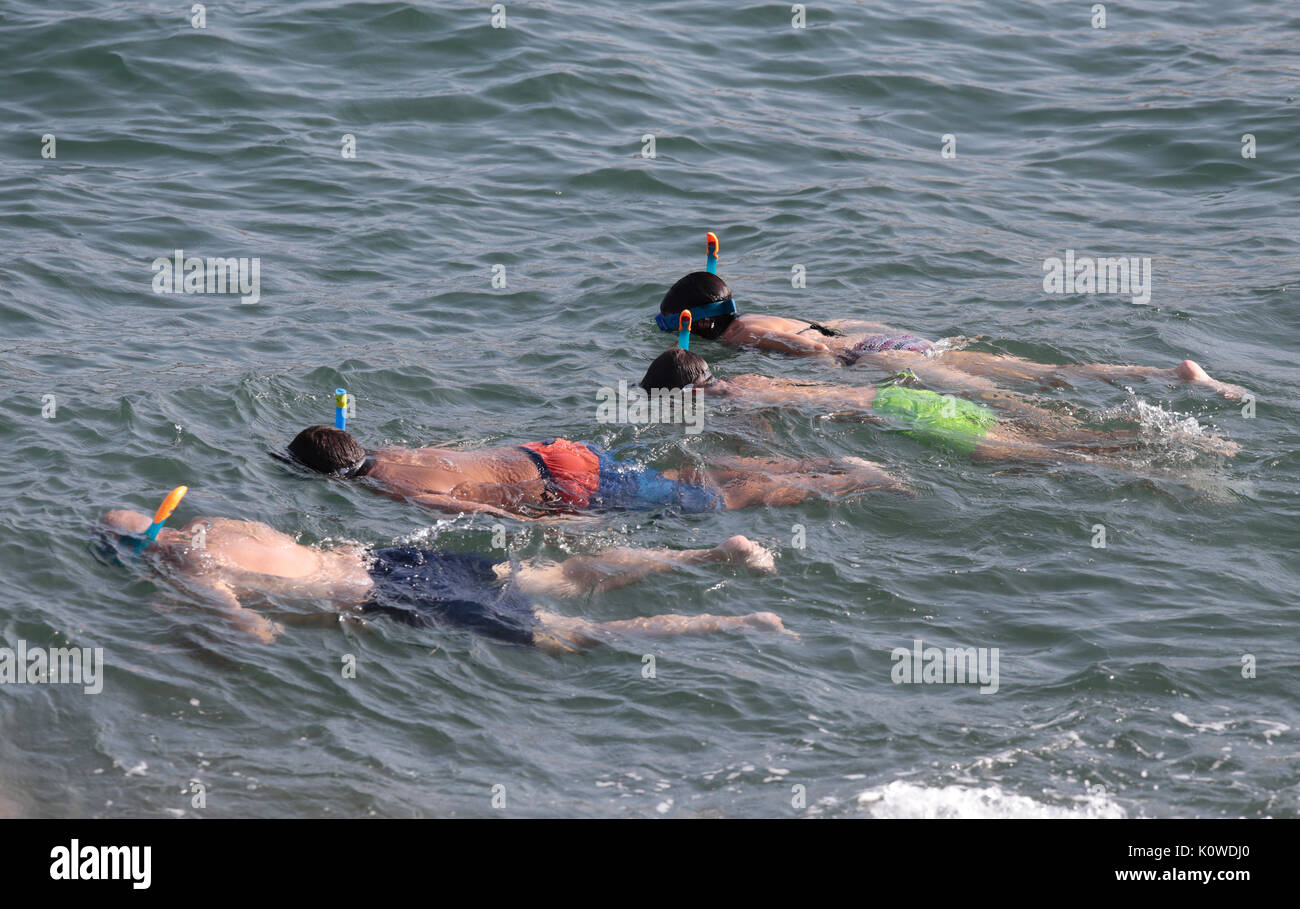 Sunbatthe hi-res stock photography and images - Alamy