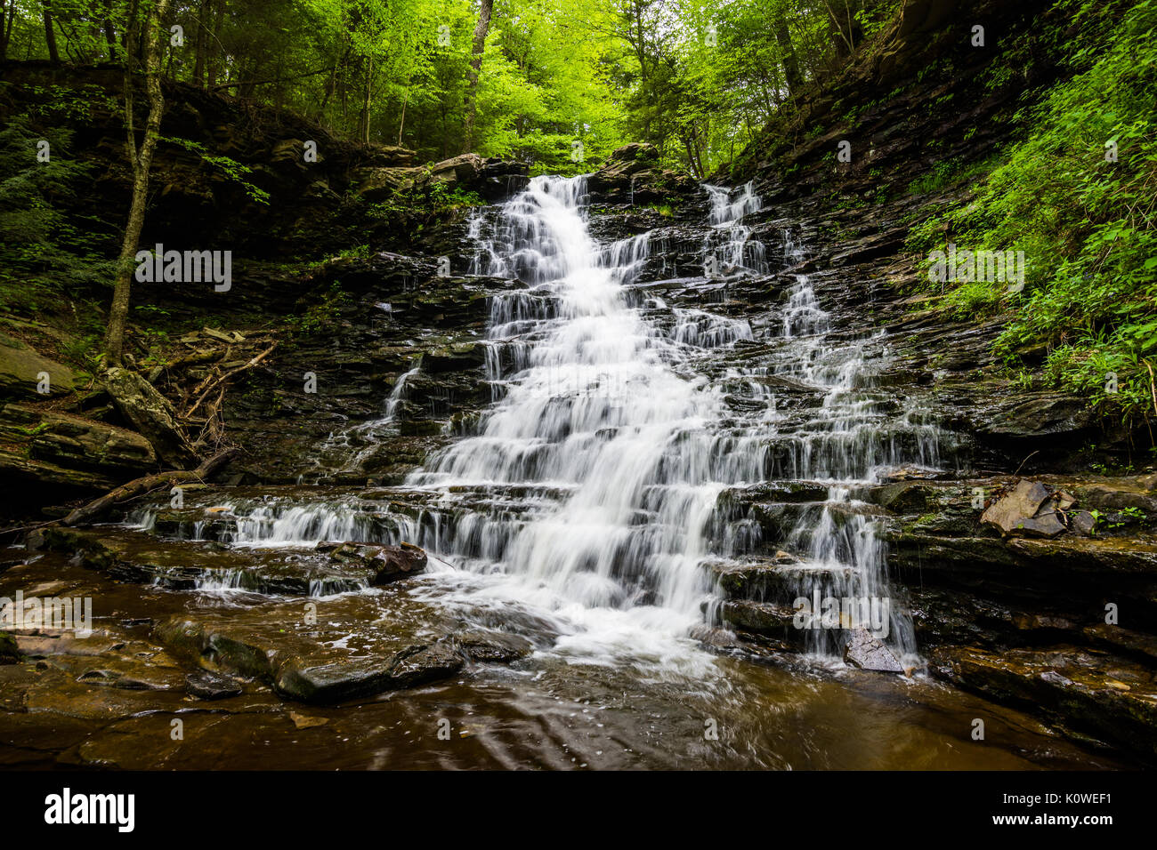 Scenic Waterfall in Ricketts Glen State Park in The Poconos in ...