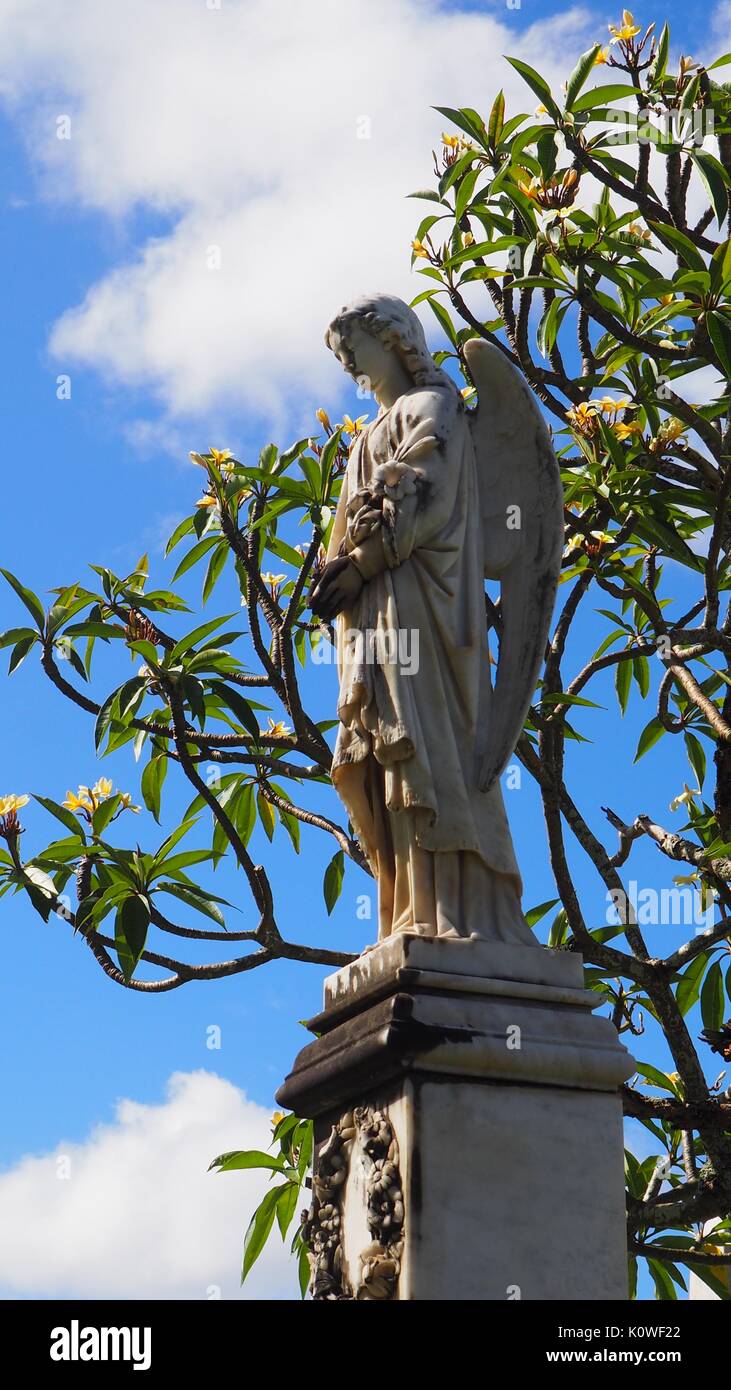 Cemetery at nuuanu guardian angel tomb stone at nuuanu hi-res stock ...
