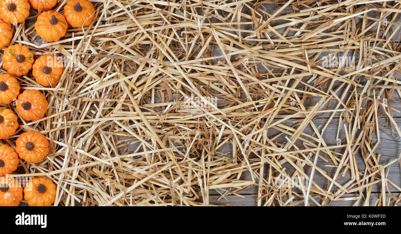 Straw background hi-res stock photography and images - Alamy