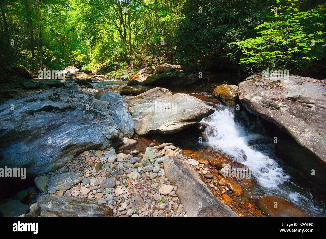 Tree lined riverbed hi-res stock photography and images - Alamy