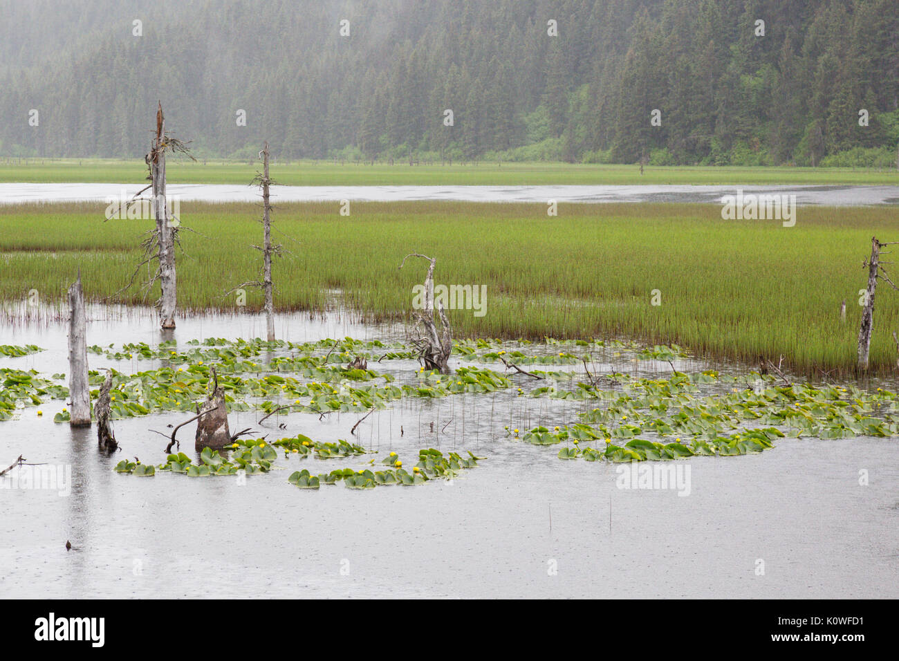 Turnagain Arm, Anchorage, Alaska, USA Stock Photo - Alamy