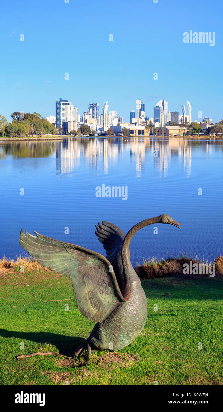 Black swan perth wa hi-res stock photography and images - Alamy