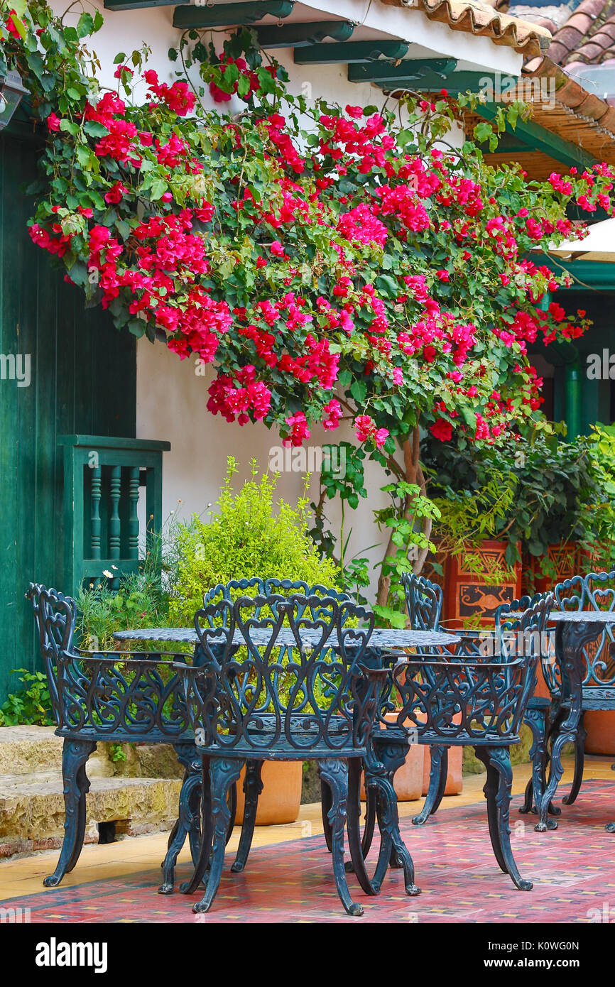 patio table with flowers Stock Photo - Alamy