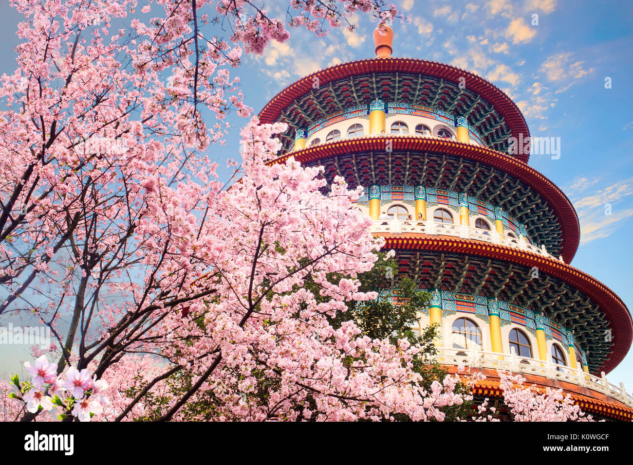The beautiflu sakura garden with nice sky in Taipei, Taiwan Stock Photo ...