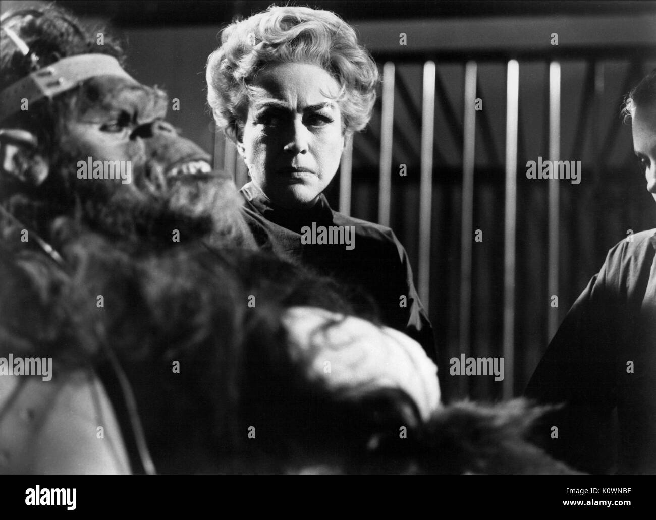 Trog High Resolution Stock Photography and Images - Alamy