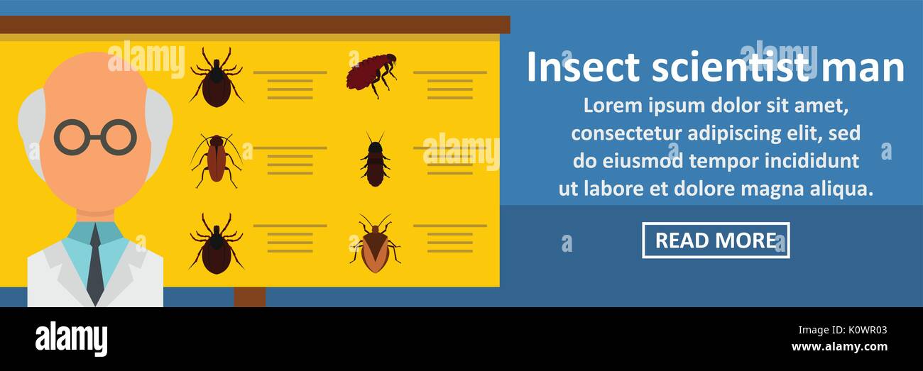 Insect scientist man banner horizontal concept Stock Vector Image & Art ...