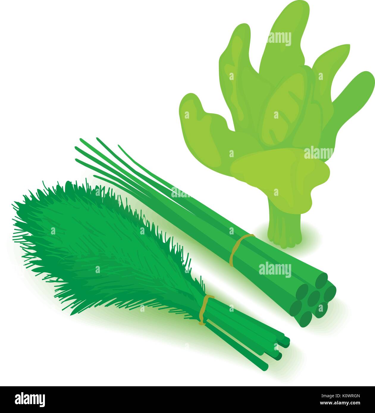 Green vegetable icon, cartoon isometric 3d style Stock Vector Image ...