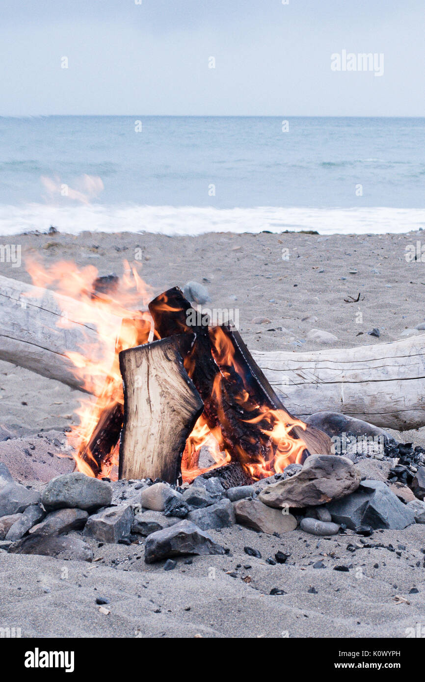 Daytime Bonfire On Beach