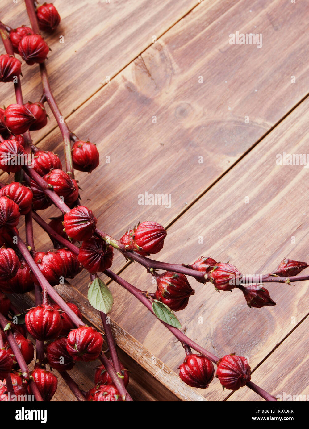 Exotic background hi-res stock photography and images - Alamy