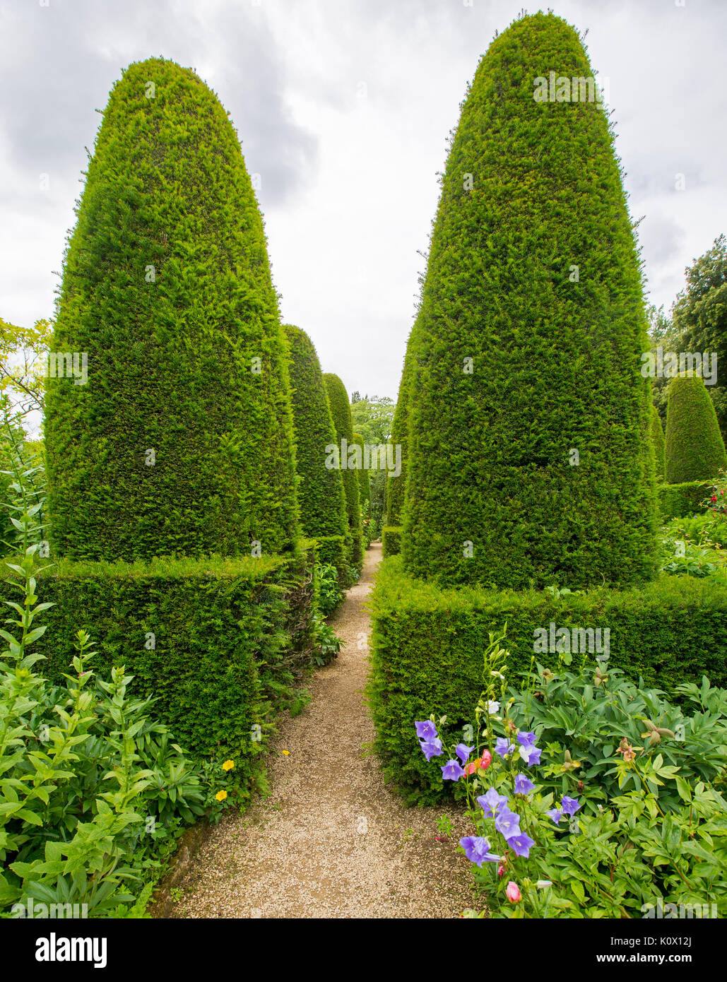 Topiary hedge yew lawn hi-res stock photography and images - Alamy