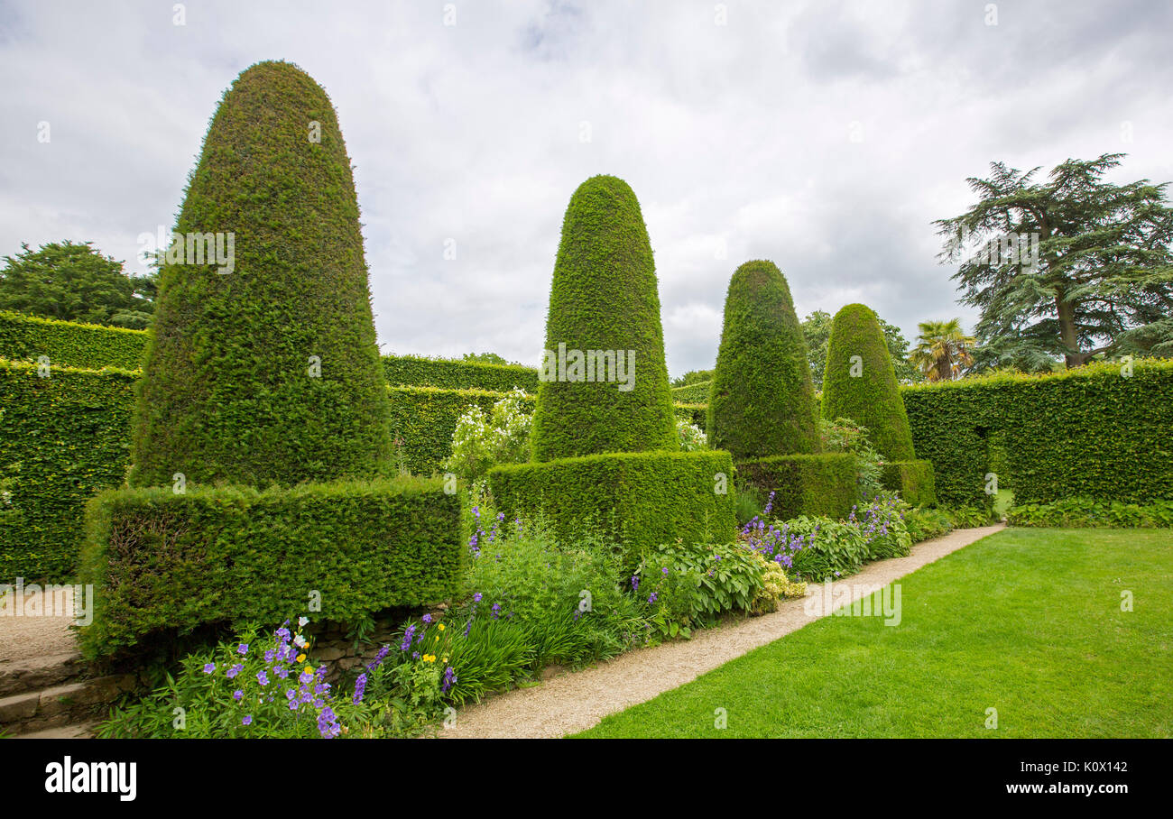 Topiary hedge yew lawn hi-res stock photography and images - Alamy
