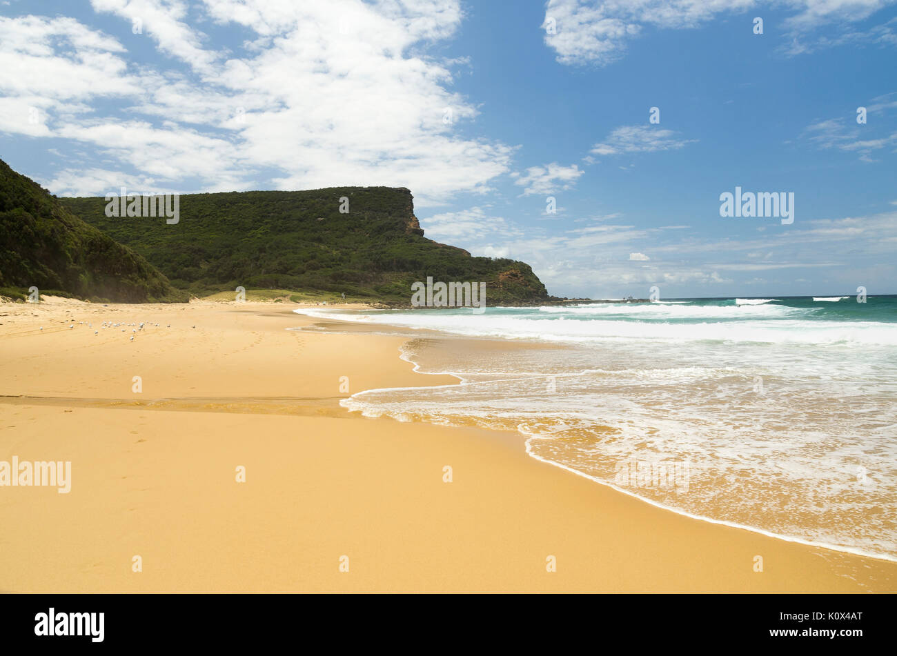 Garie Beach, Royal National Park just south of Sydney, NSW, Australia ...