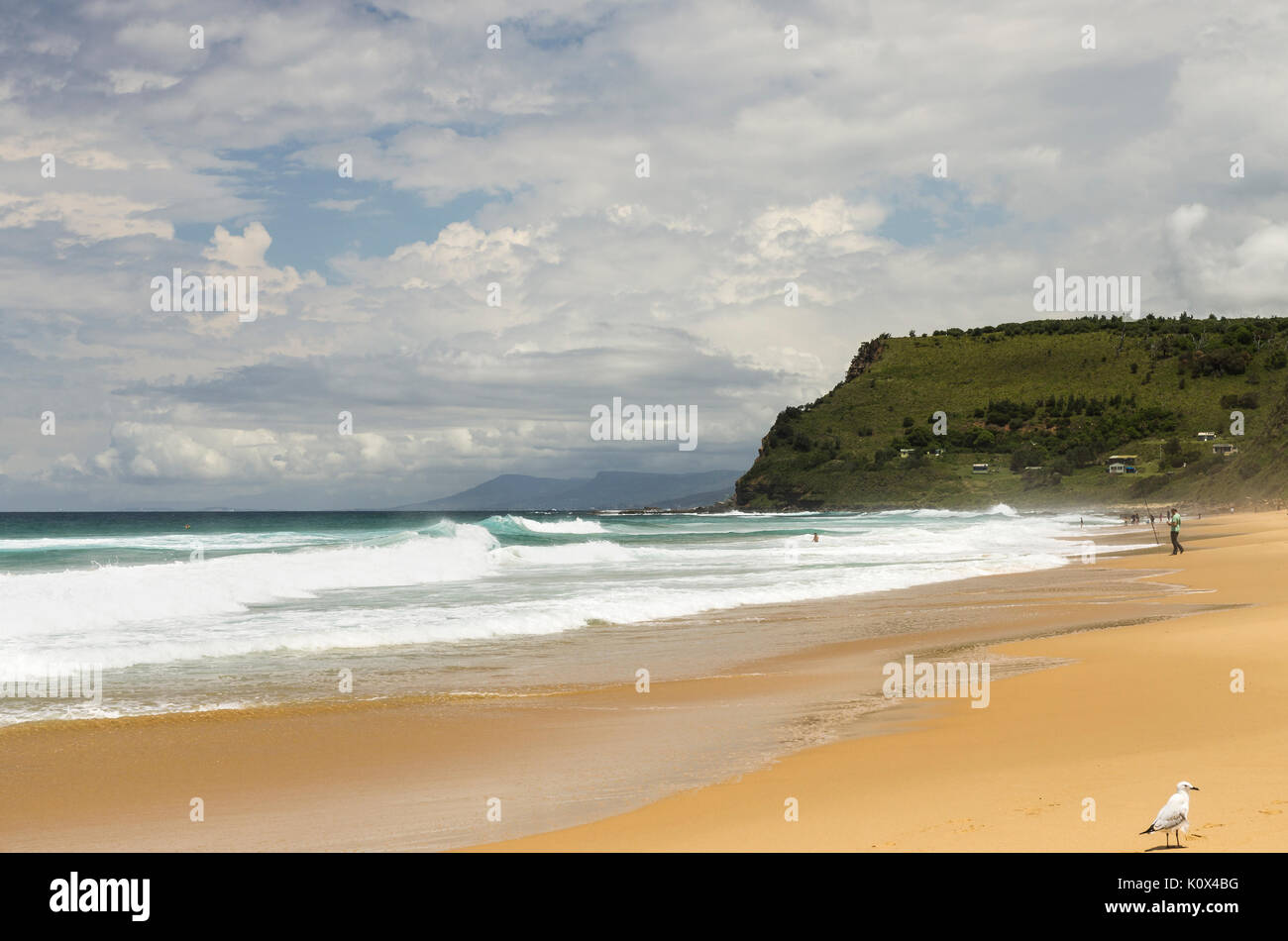Garie Beach, Royal National Park just south of Sydney, NSW, Australia ...