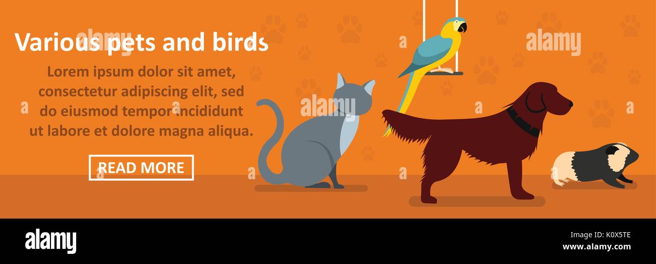 Various pets and birds banner horizontal concept Stock Vector Image ...