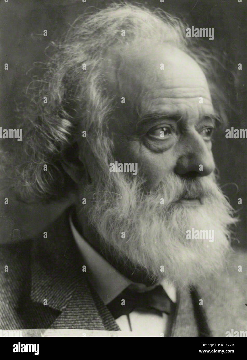 Alphonse Legros by George Charles Beresford (1902) 2 Stock Photo - Alamy