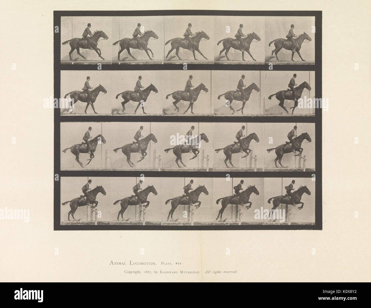 Animal Locomotion. An Electro Photographic Investigation of Consecutive ...