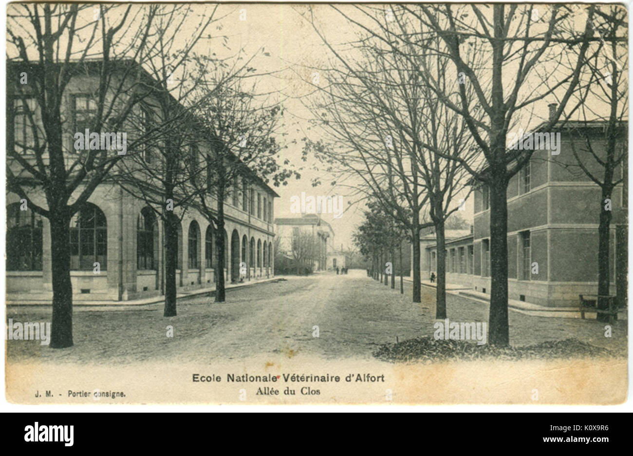 Cp17 hi-res stock photography and images - Alamy