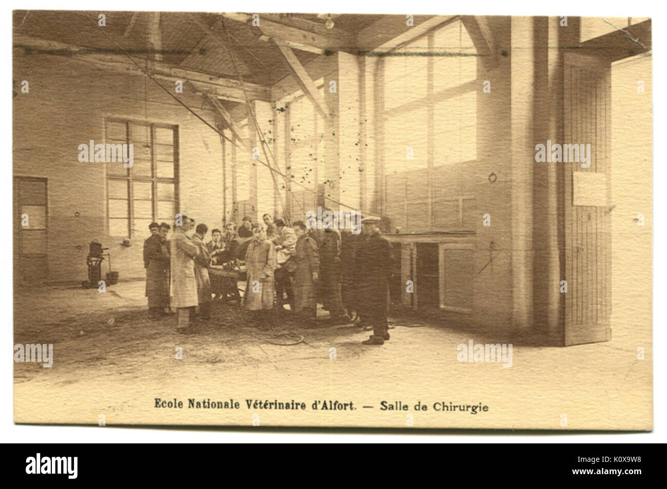 Modern machine for harvesting hi-res stock photography and images - Alamy