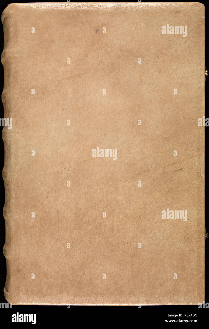 Leather contemporary binding hi-res stock photography and images - Alamy