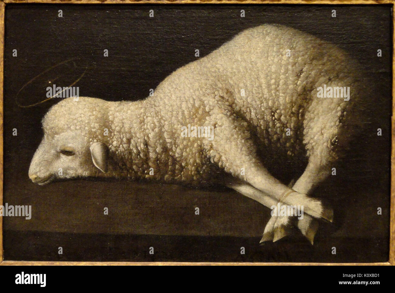 Agnus dei hi-res stock photography and images - Alamy