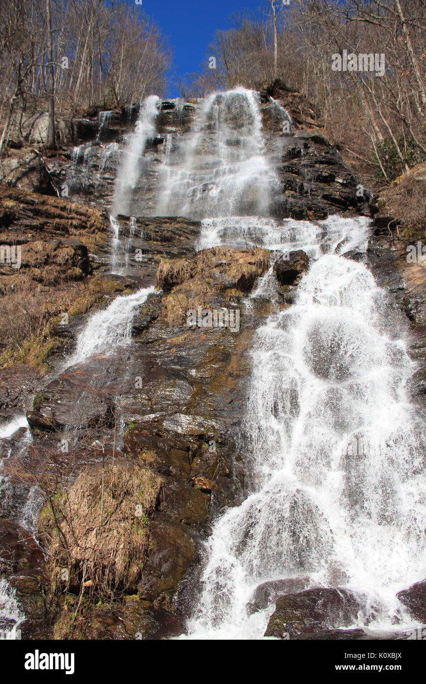 Amicalola falls state park trail hi-res stock photography and images ...