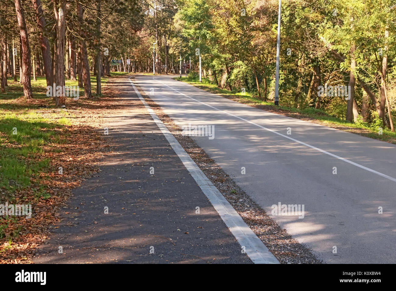 Road through forest Stock Photo - Alamy