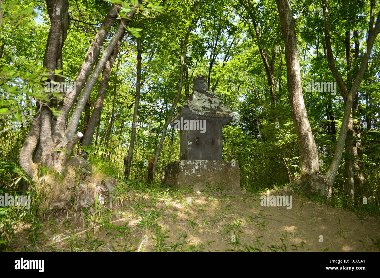 Akagi jinja hi-res stock photography and images - Alamy
