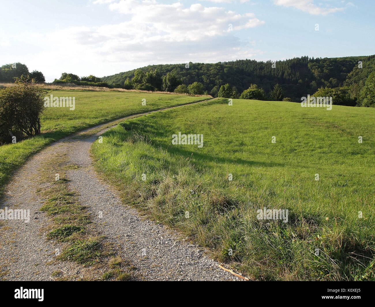 Neuer weg hi-res stock photography and images - Alamy