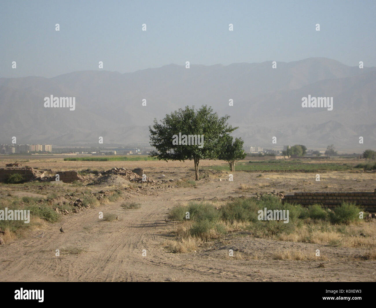 Alone tree uburb of Nishapur north view of Yaghma Town 1 Stock Photo ...