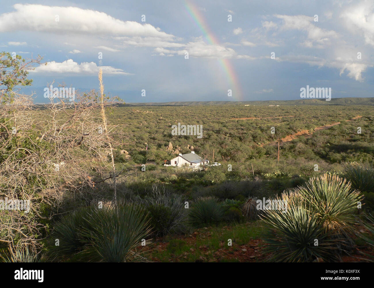 Flags american 1 hi-res stock photography and images - Alamy