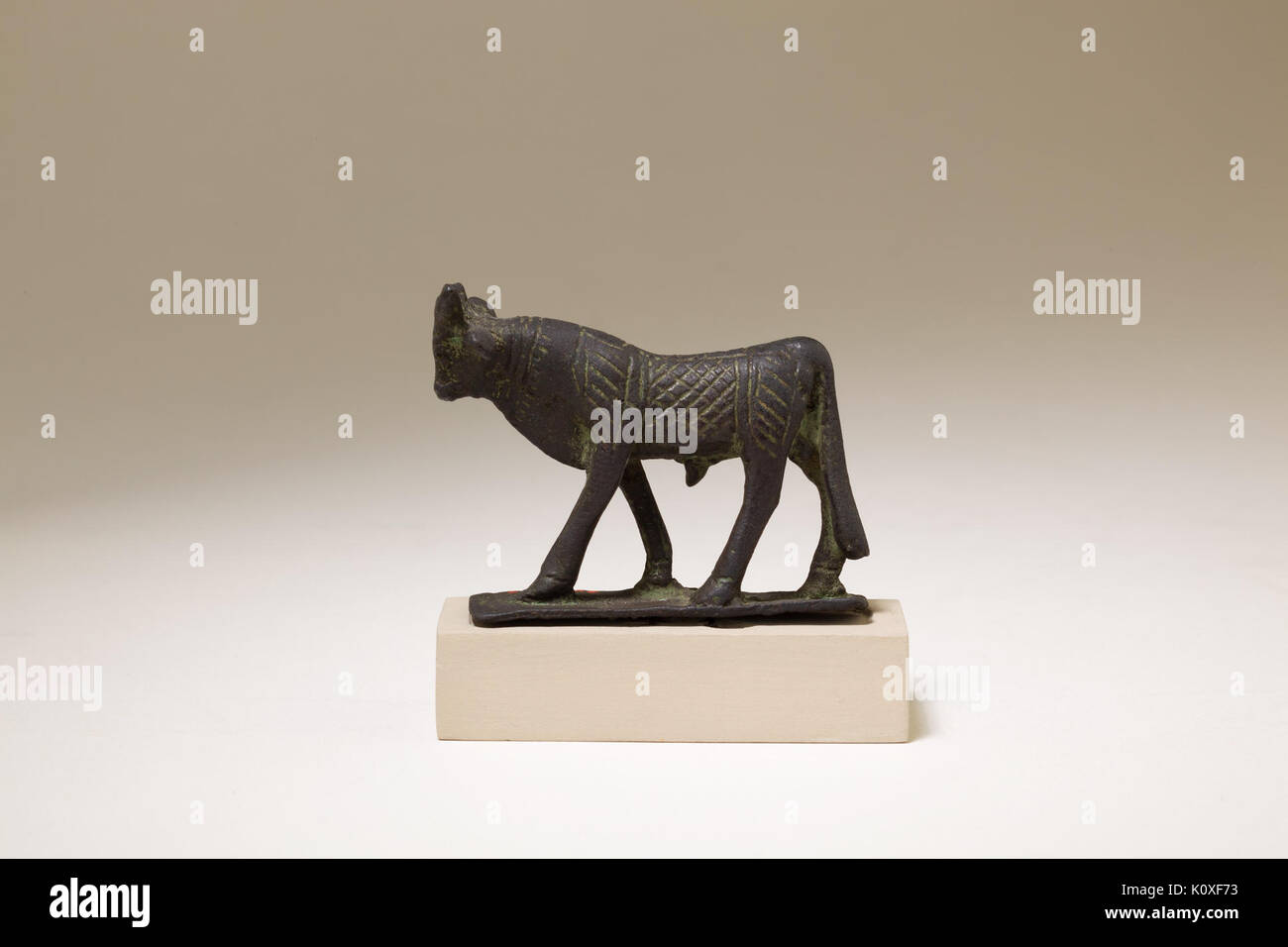Apis bull hi-res stock photography and images - Alamy
