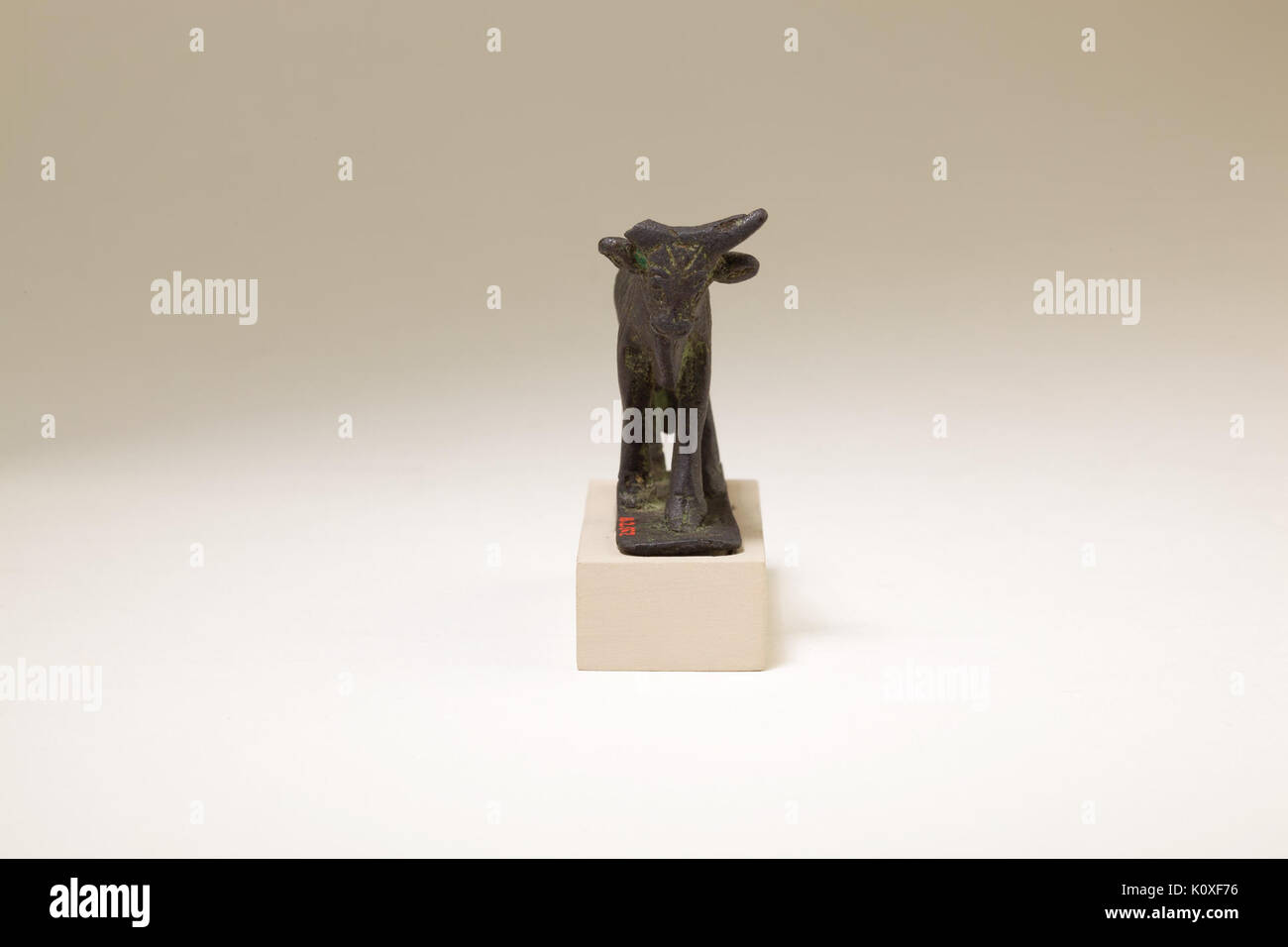 Apis bull hi-res stock photography and images - Alamy