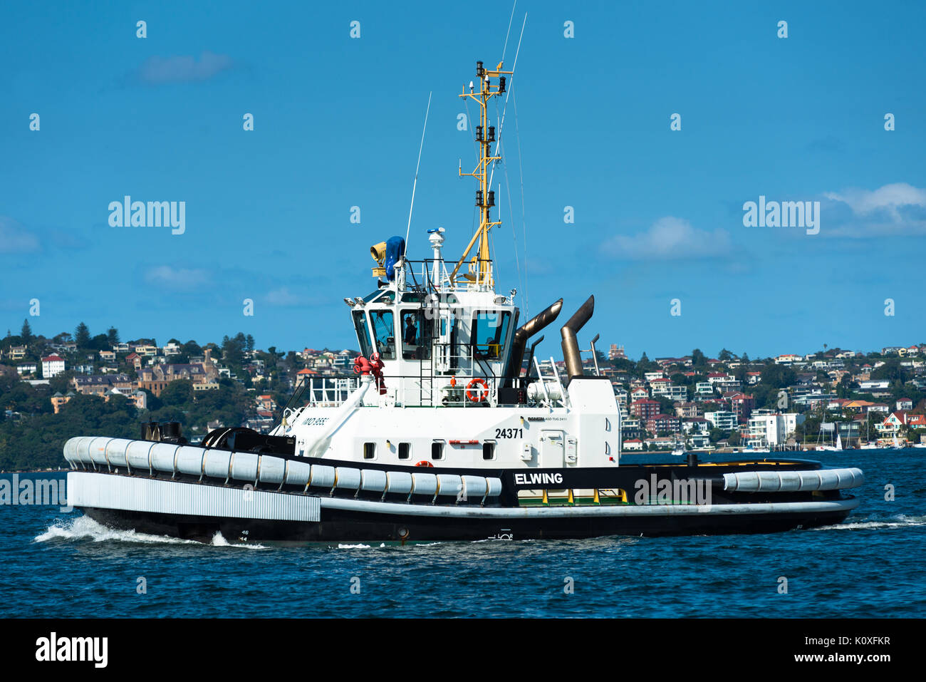 Tugboat on Sydney Harbour, New South Wales, Australia Stock Photo - Alamy