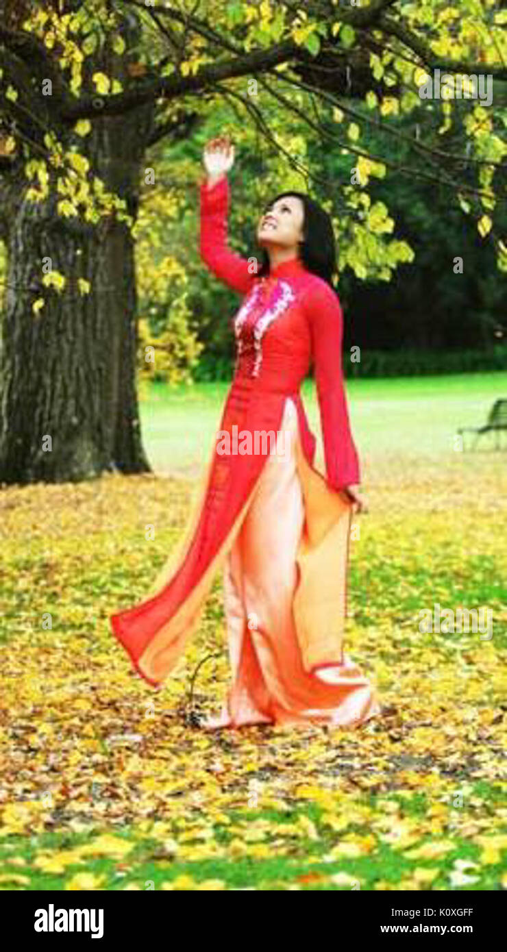 Ao dai design hi-res stock photography and images - Alamy