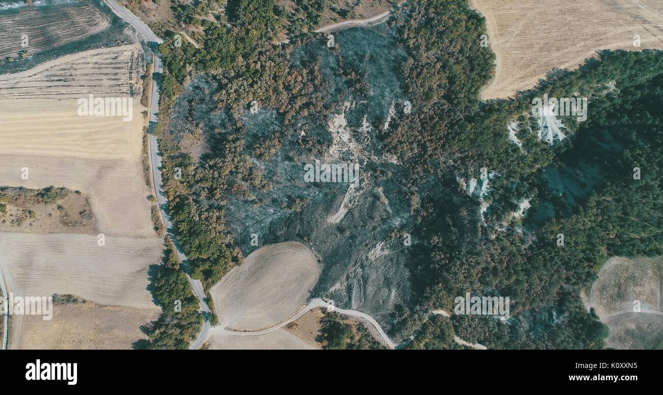 Arson:,Burnt ground due to forest fire damage, Burnt field in Reggio ...