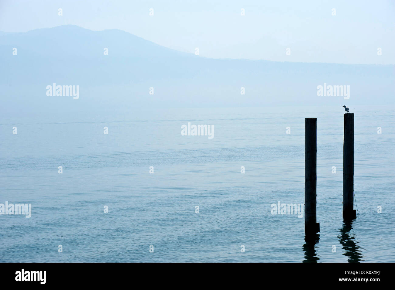 Lutry in Lavaux *** Local Caption *** Lutry, Lavaux, Switzerland ...