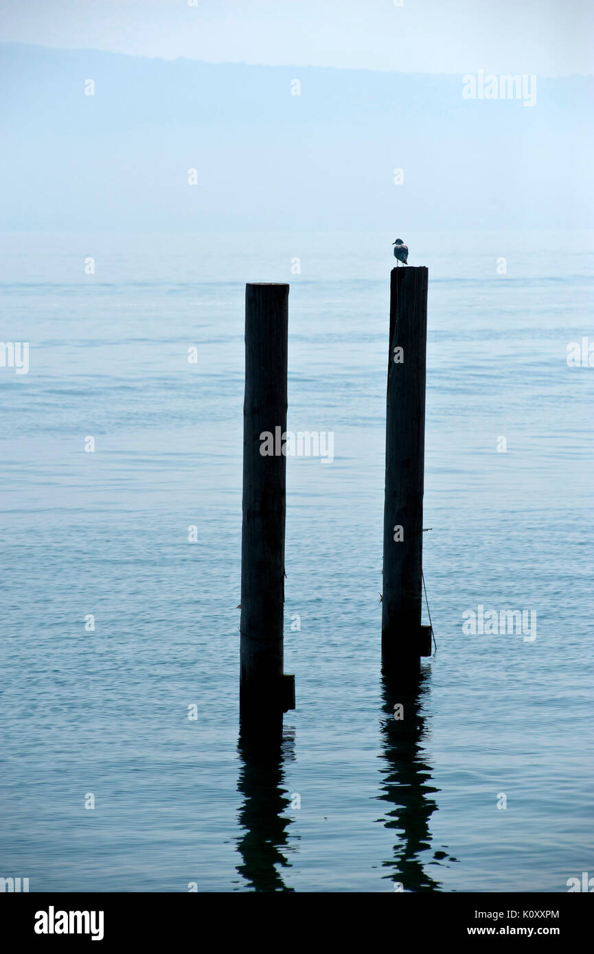 Lutry in Lavaux *** Local Caption *** Lutry, Lavaux, Switzerland ...