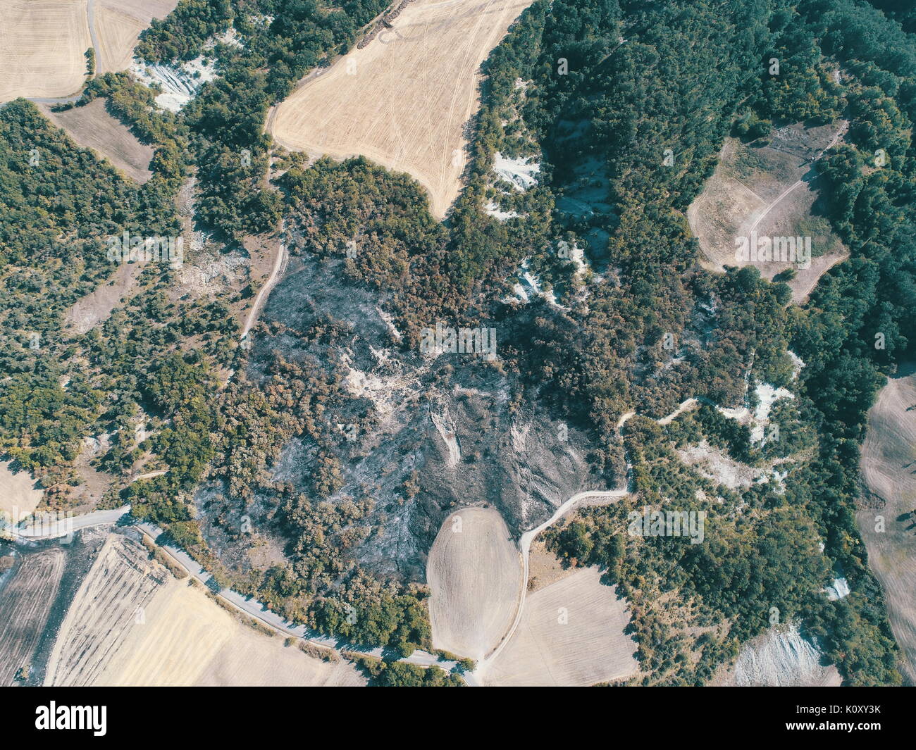 Arson:,Burnt ground due to forest fire damage, Burnt field in Reggio ...